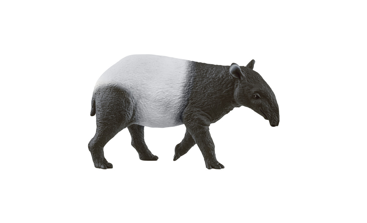 schleich® Tapir | detailgetreu & realistisch | BETZOLD